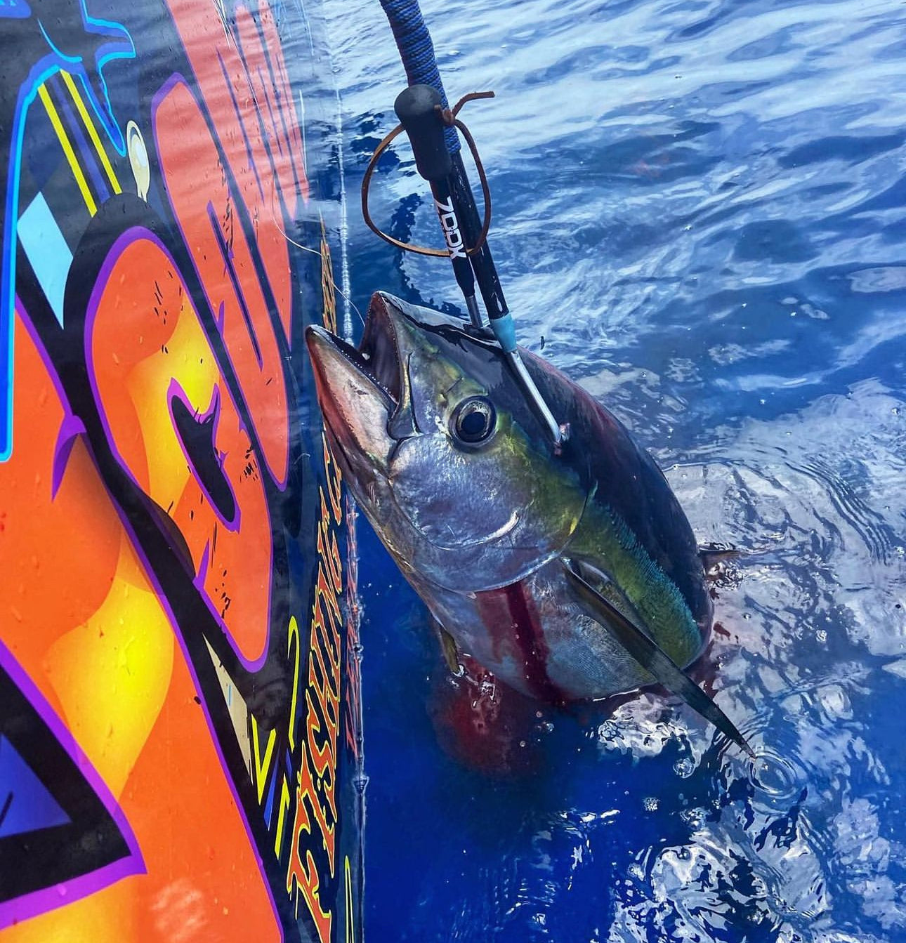 Welcome to Zook Fishing Company